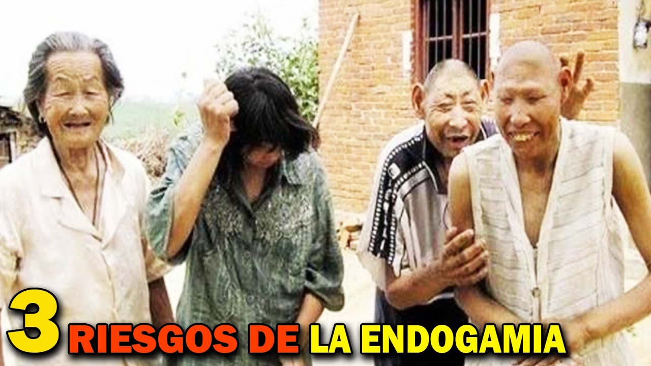 El Matrimonio Endogamia y sus riesgos con los hijos que nacen - Verdad ...