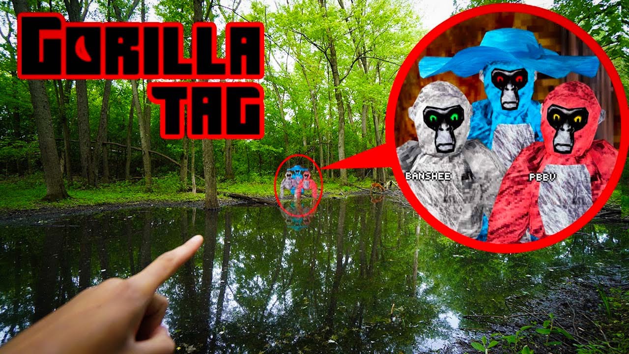 I FOUND PBBV ECHO BANSHEE IN REAL LIFE AT THE GORILLA TAG FOREST i-found-pbbv-echo-banshee-in-real-life-at-the-gorilla-tag-forest
