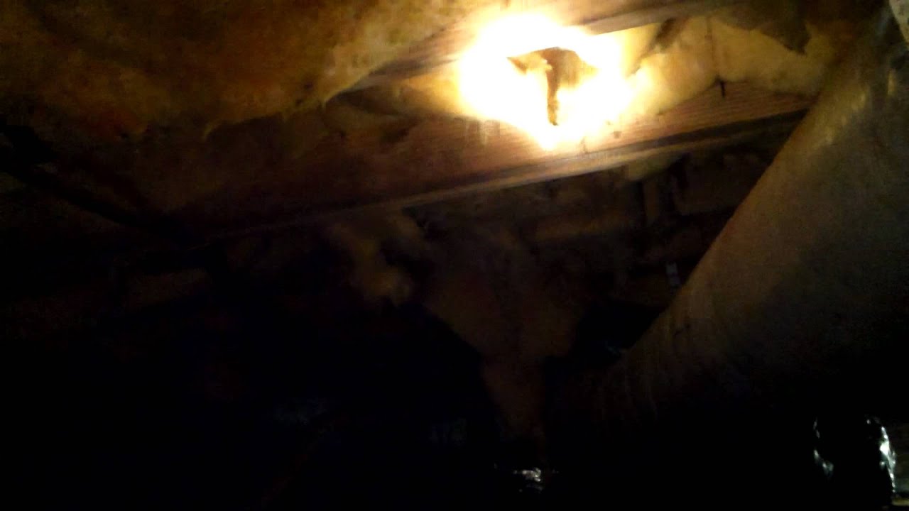 What Do Home Inspectors Look For When Inspecting a Crawl Space - YouTube