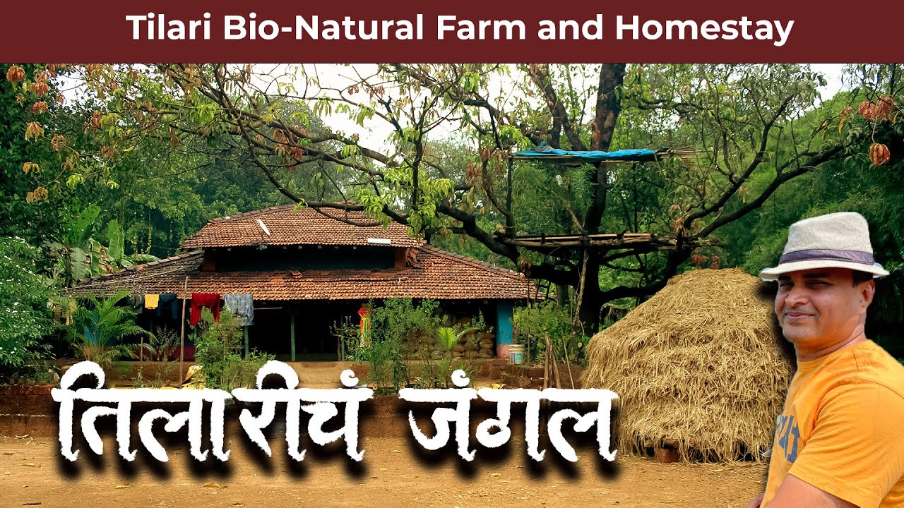 Tilari Forest Stay l Tilari Bio Natural Farm & Homestay l Tilari ...