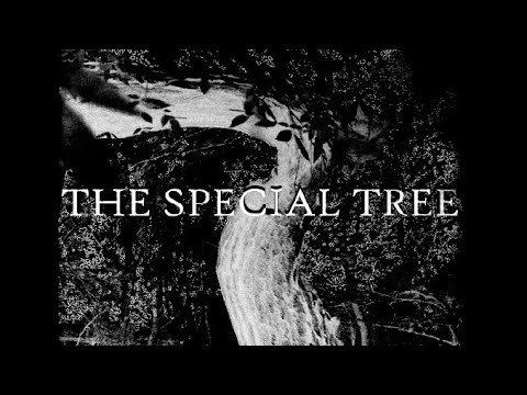 THE SPECIAL TREE | The Modern Day - YouTube