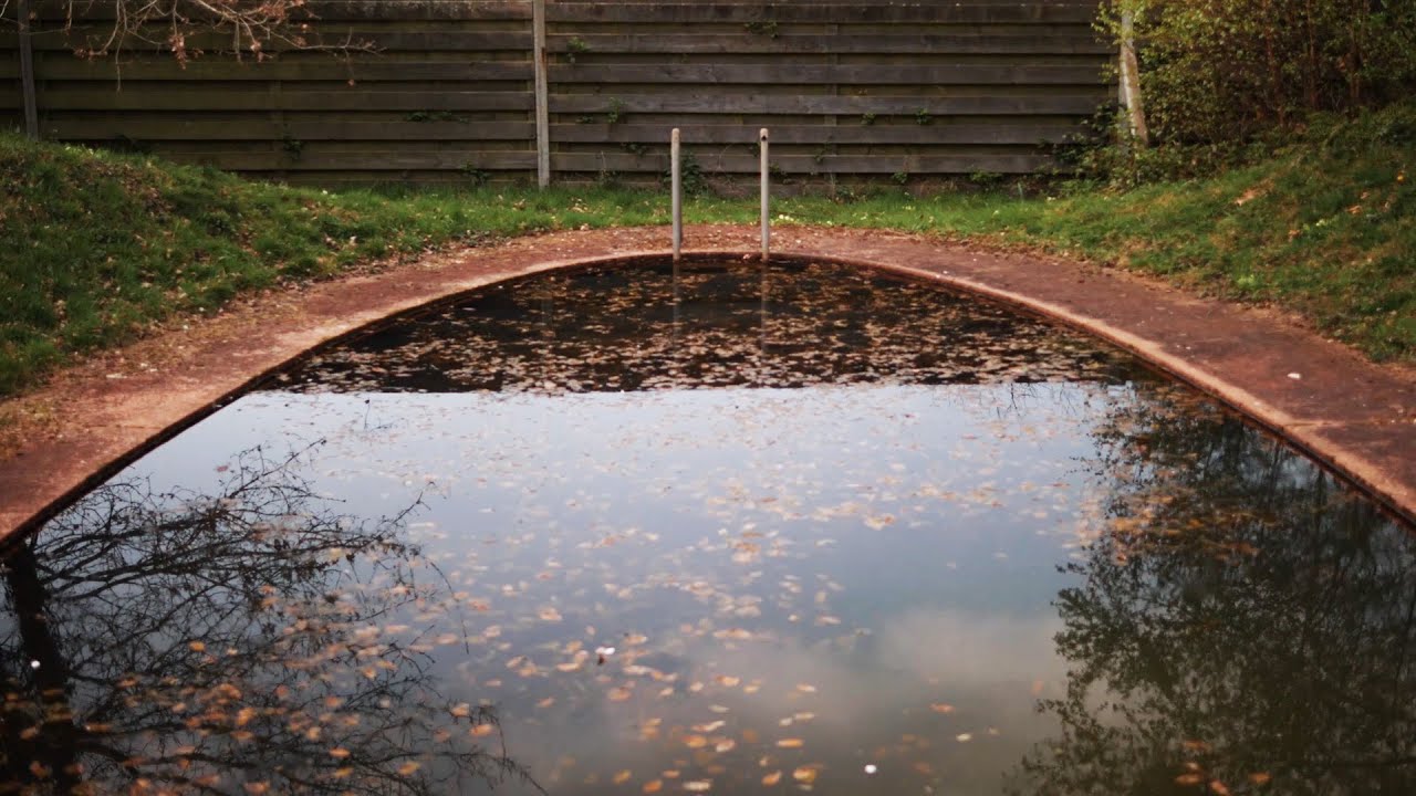 Catching NEWTS in a SWIMMING POOL!!? - YouTube