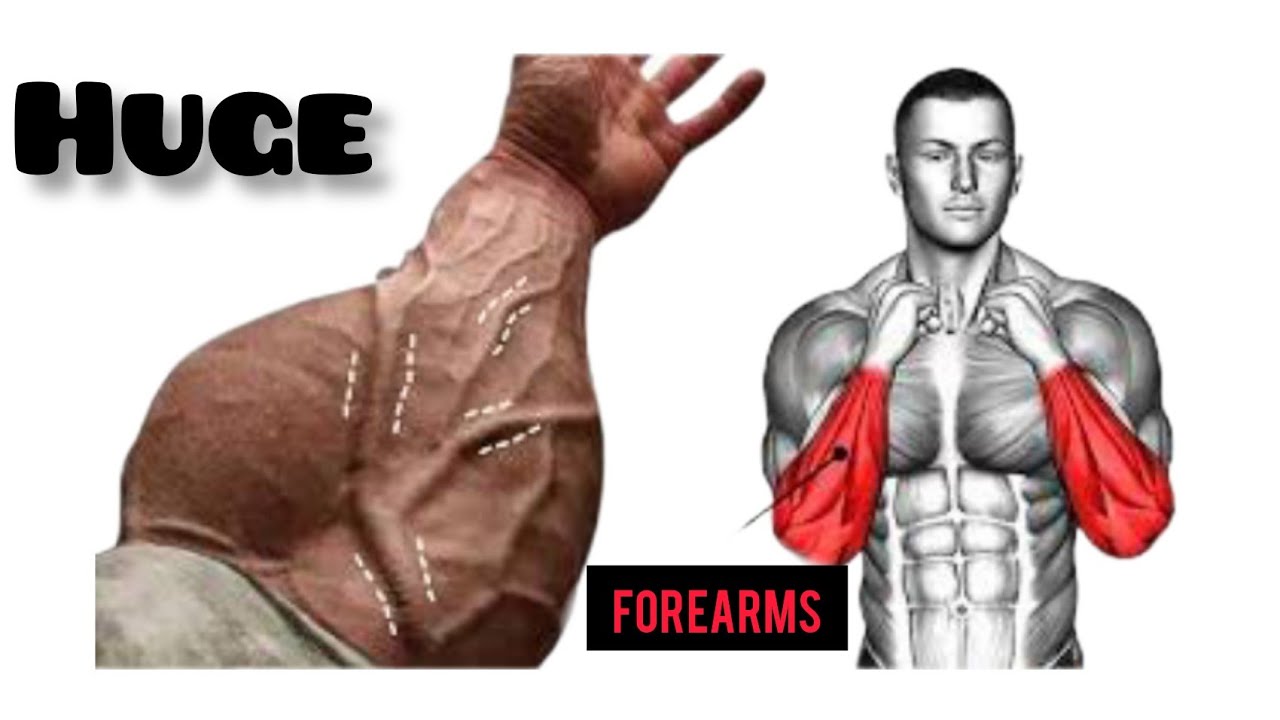 4 BEST Excercise for forearms - YouTube