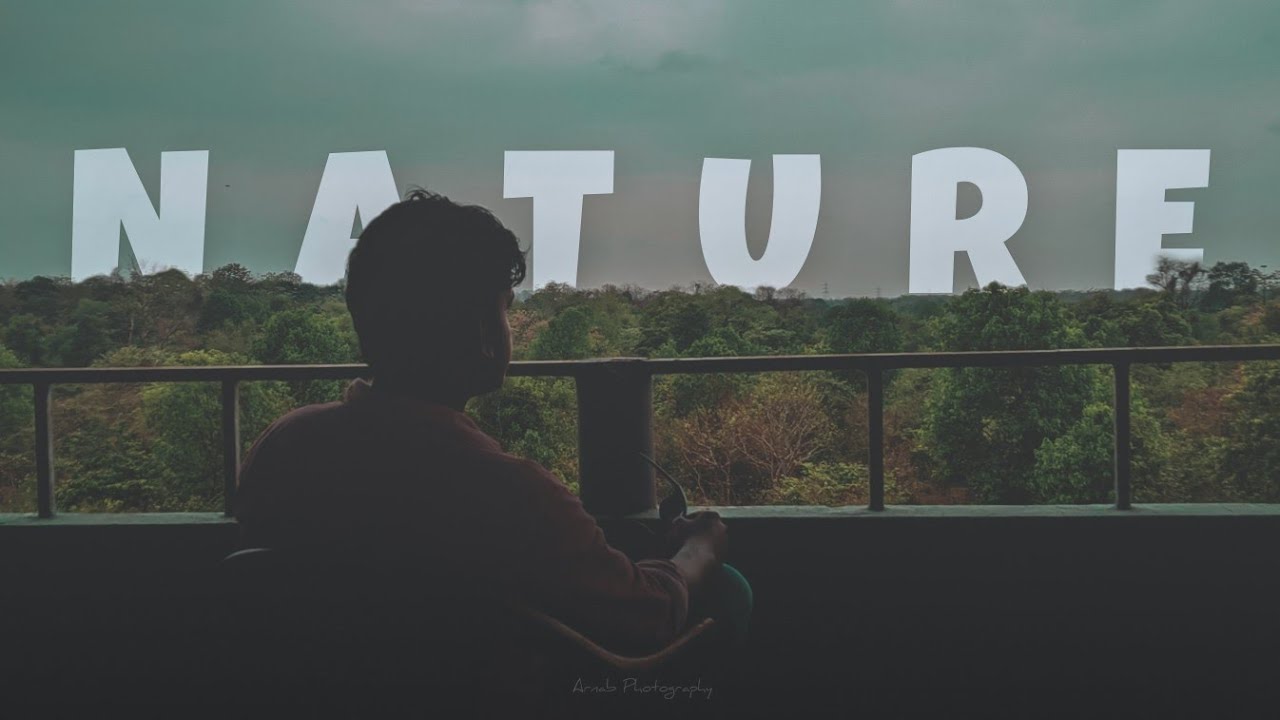 Forest Cinematic Video || Nature Cinematic 4k Video || Believe Creation ...