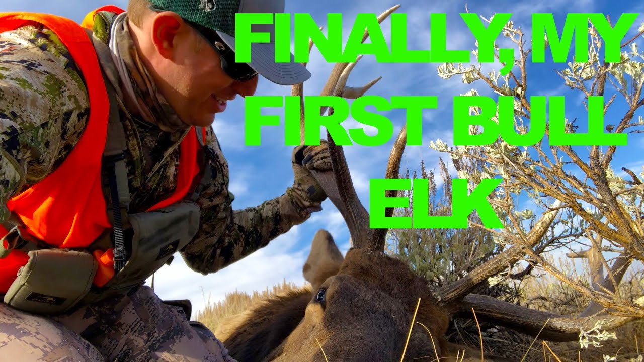 Wyoming elk hunting - 6 point bull! - YouTube