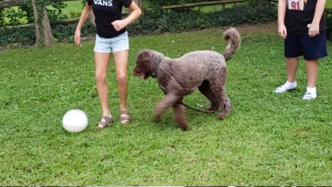 Maggie Born September 2019 - YouTube