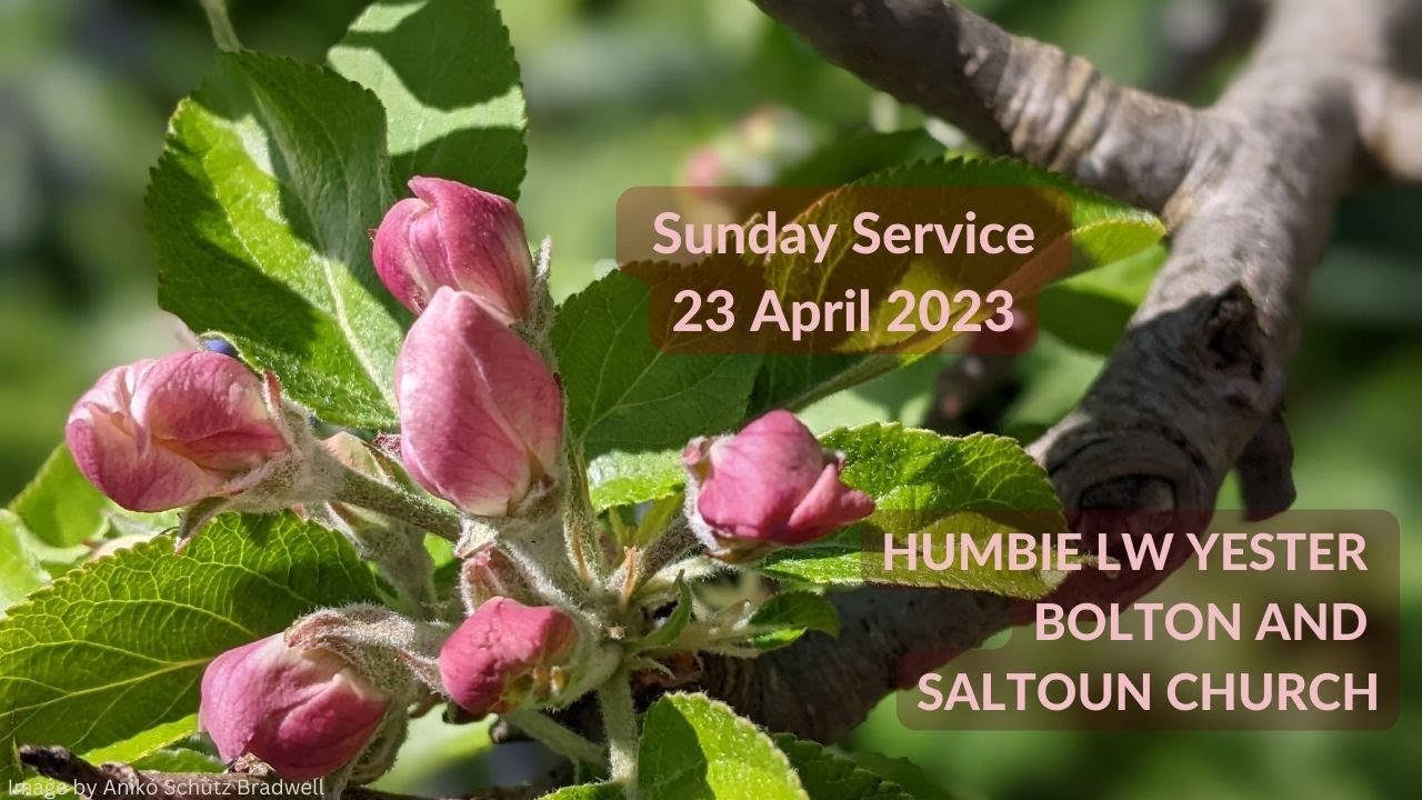Sunday service 23 April 2023 - Humbie lw Yester Bolton and Saltoun ...