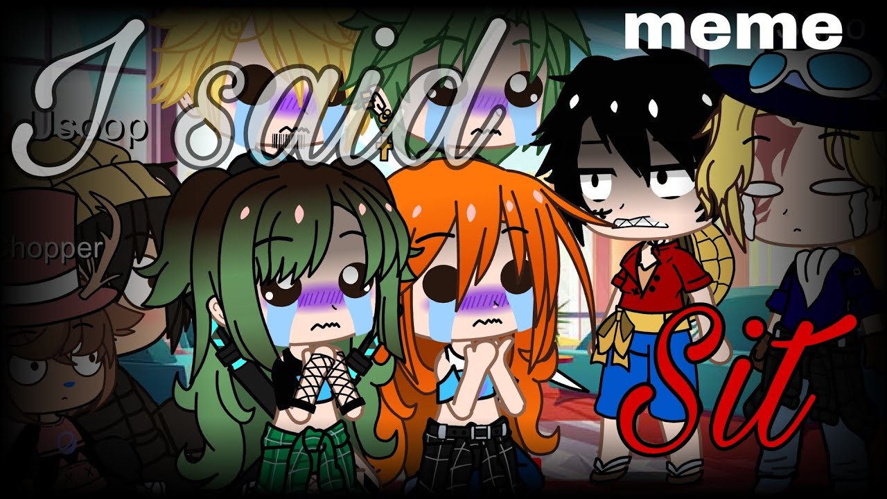 I Said Sit (meme) / One piece / Zolu - YouTube