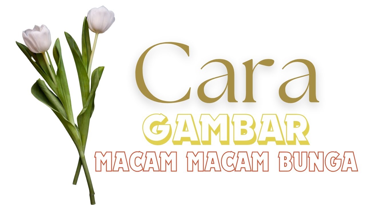 cara gambar macam macam bunga - YouTube