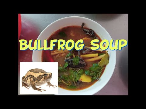 bullfrog soup #001 - YouTube