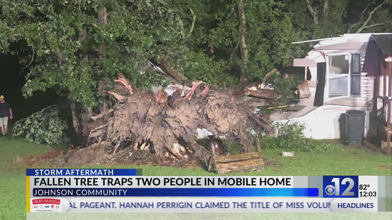 Fallen tree traps two inside Jones County home - YouTube