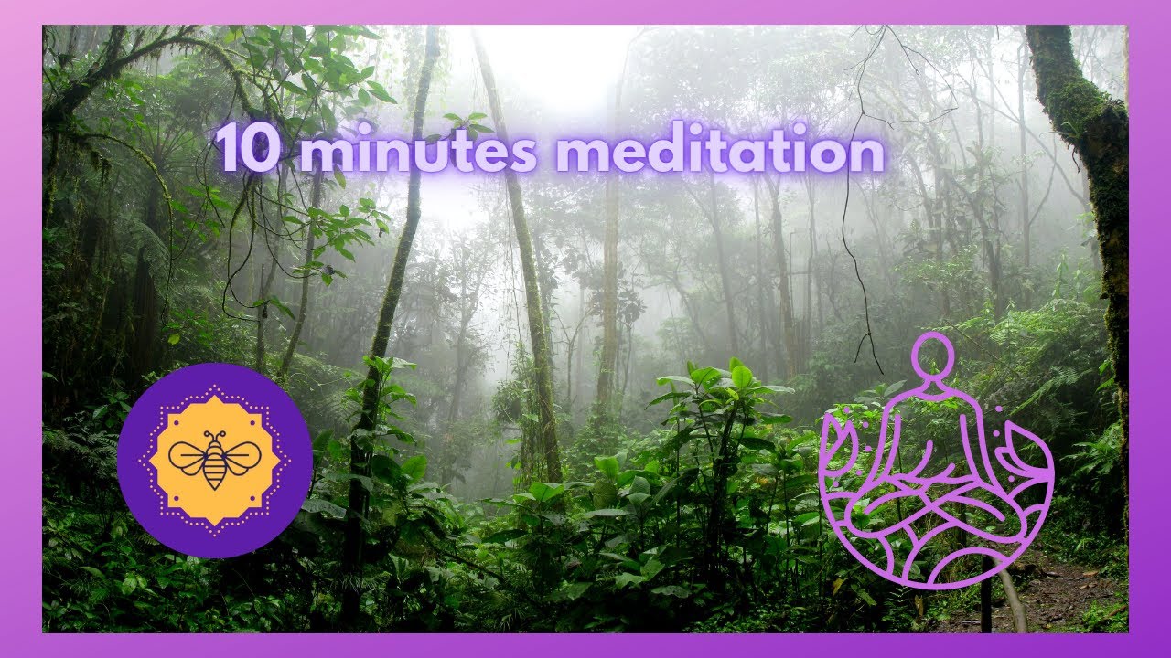 10 minutes meditation with rainforest sounds - YouTube
