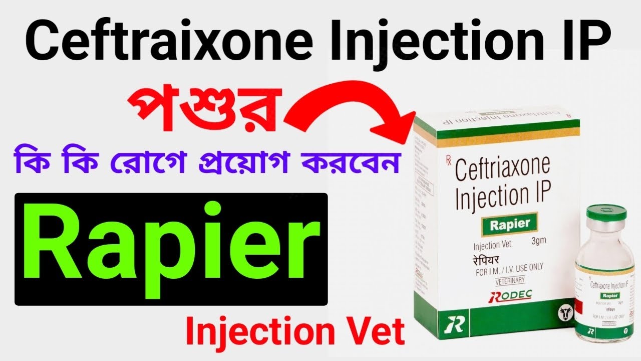 Rapier Injection Vet পশুর মধ্যে কি কি উপকার করে | Rapier Inj uses ...