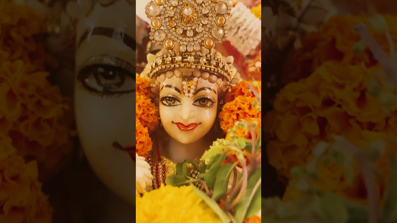 Shriman Naryan Naryan #youtubeshorts #naryan #shortsvideo #shorts - YouTube