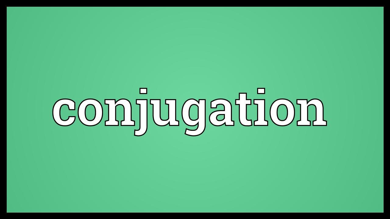 Conjugation Meaning - YouTube