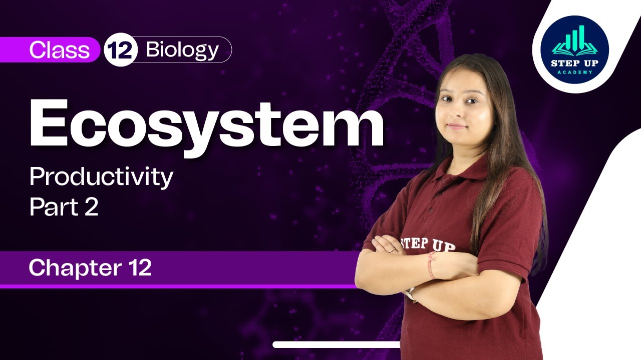 Productivity - Ecosystem Chapter 12 (Part 2) | Class 12 Biology (NCERT ...