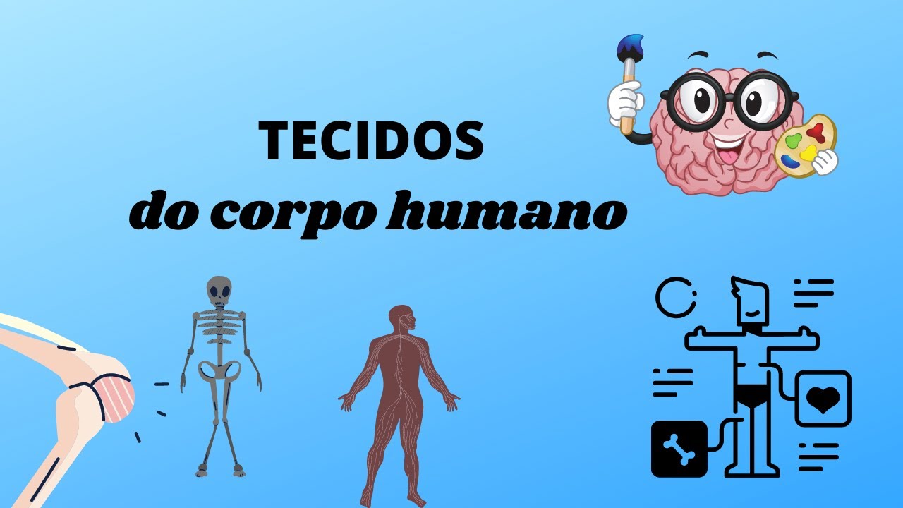 TECIDOS DO CORPO HUMANO: epitelial, muscular, conjuntivo e nervoso ...