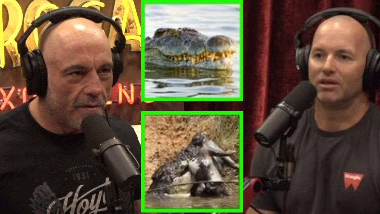 Adam GreenTree Tells Joe Rogan About His Encounter With A Monster ...