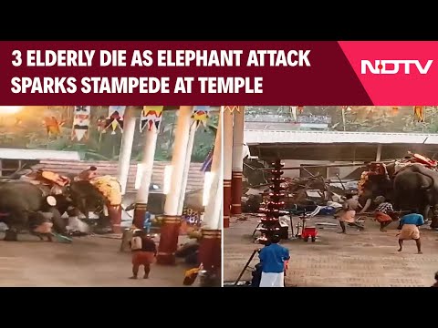 Kerala Elephant Attack | 3 Elderly Die As Elephant Attack Sparks Stampede At Kerala Temple