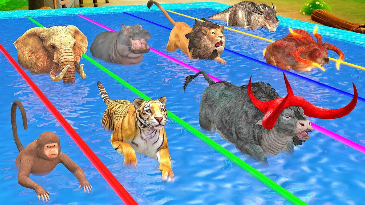 Animals Swimming Over Water - Lion, Elephant, Tiger, Hippo, Bull ...