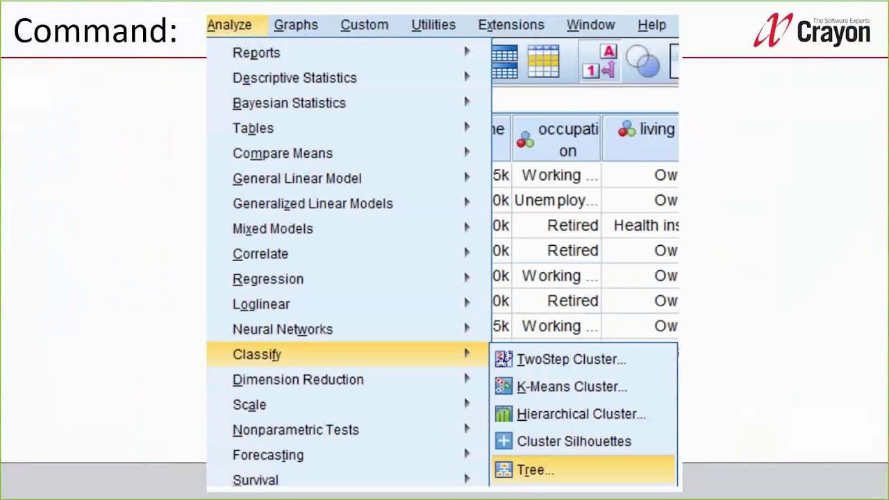 Part 5 - Module SPSS Decision Trees Denmark 21 mar 2019 - YouTube