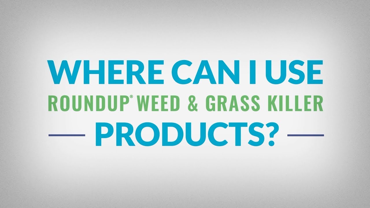 Using Roundup Weed & Grass Killer Products Properly - Where Can I Use ...