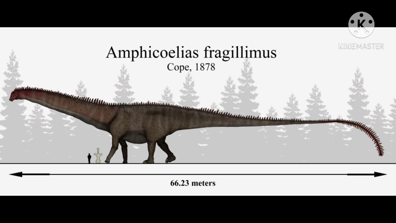 Sound Effects- Amphicoelias Fragillimus - YouTube