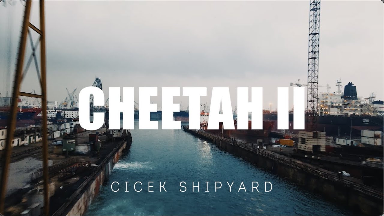 Cheetah II - YouTube