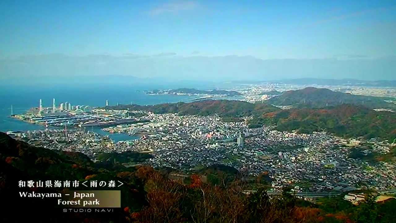JAPAN / WAKAYAMA / KAINAN / 雨の森 - YouTube