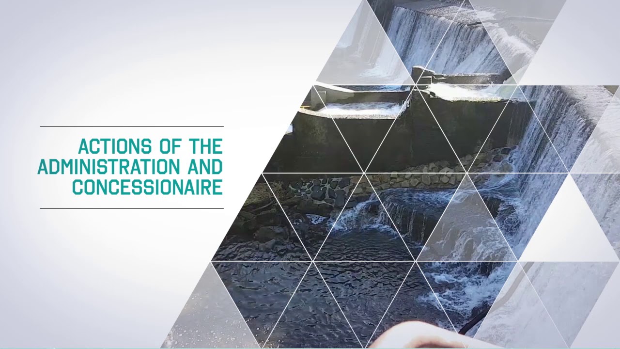 Fish Escalator - YouTube