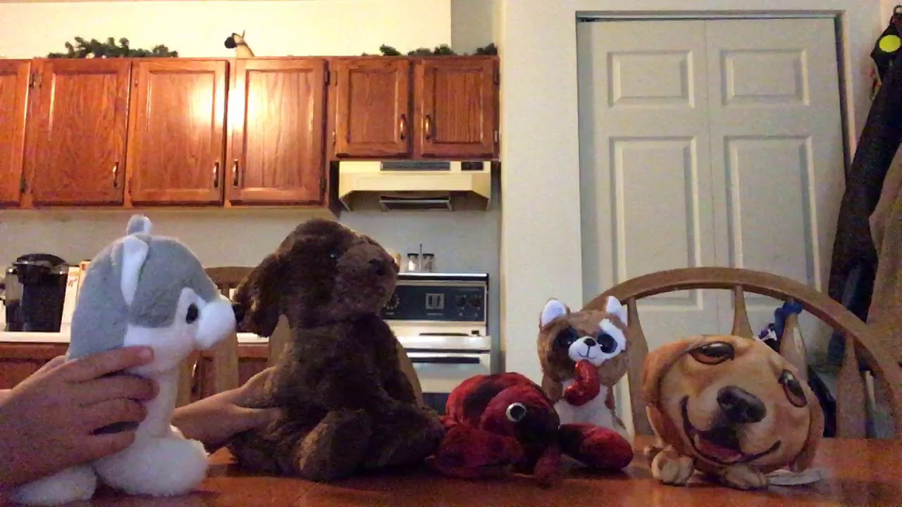 Stuffy video - YouTube