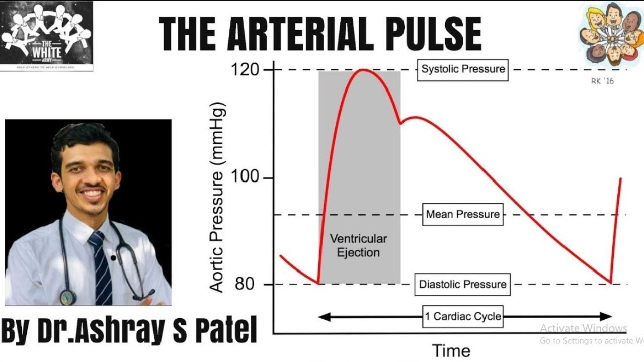 THE ARTERIAL PULSE - YouTube