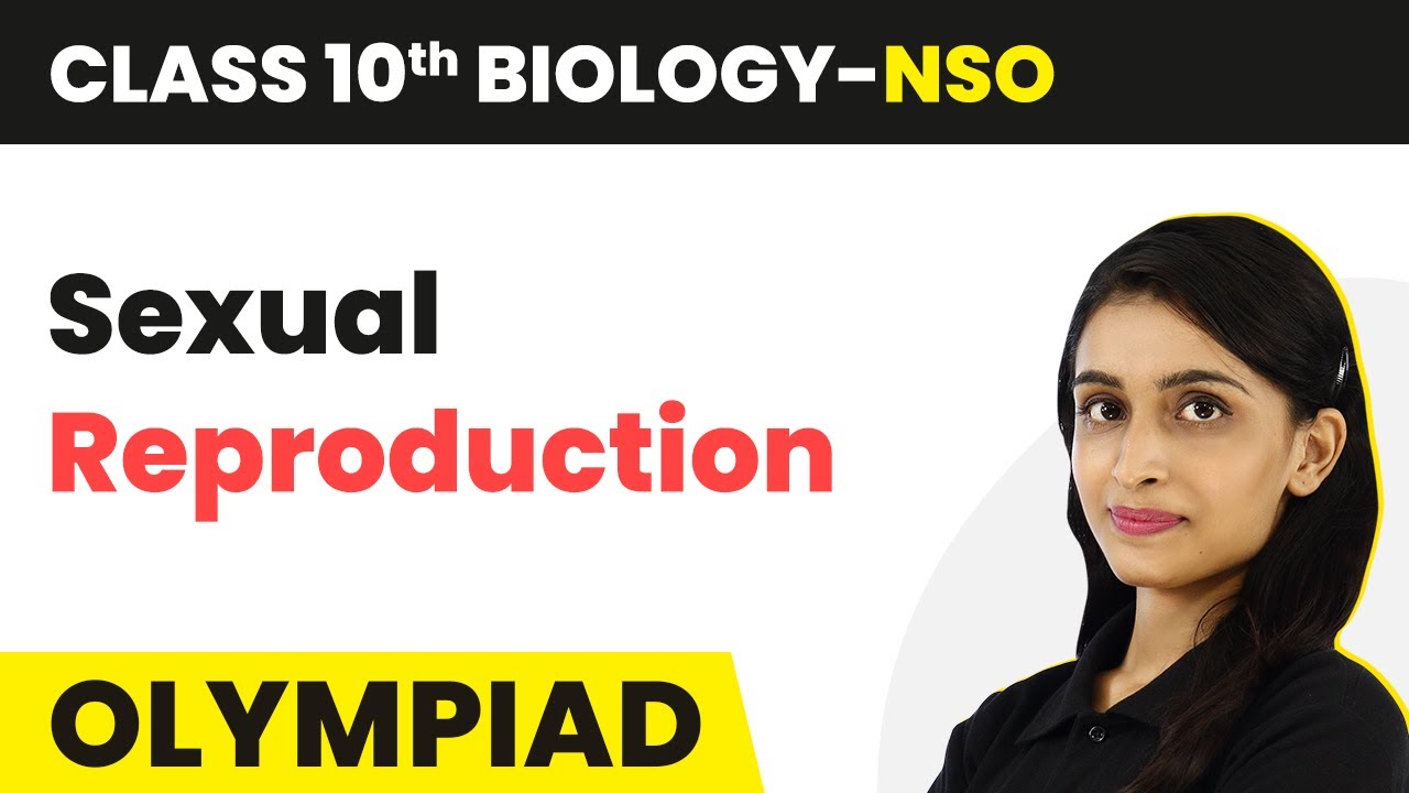 Sexual Reproduction - How Do Organisms Reproduce? | Class 10 National ...