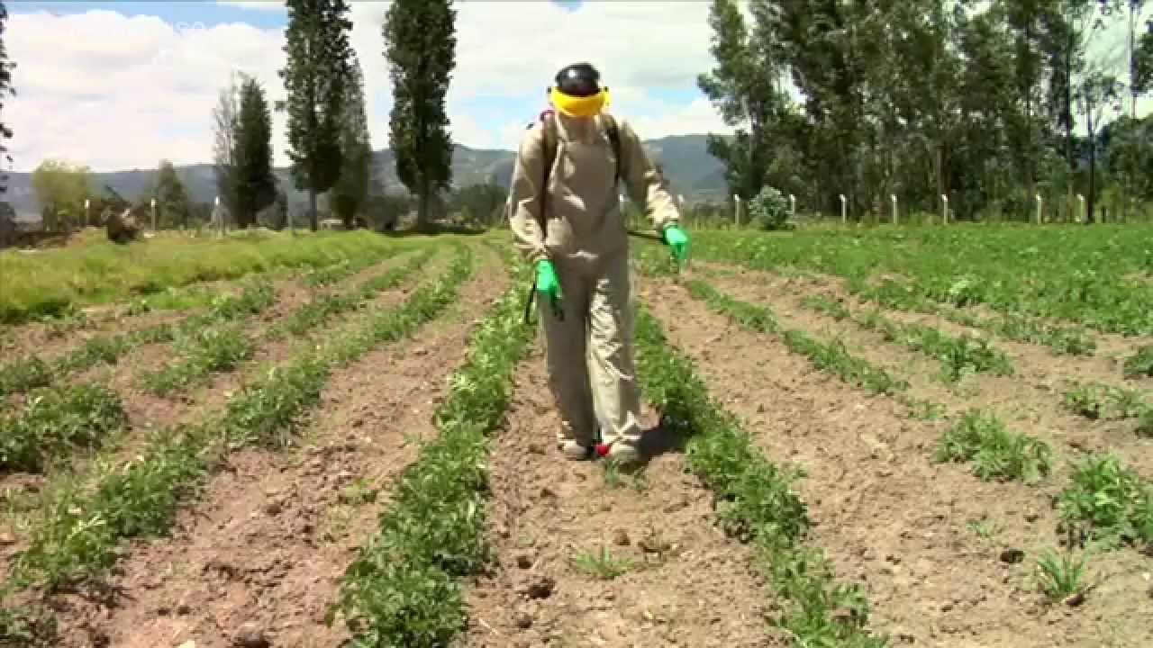Pesticidewise: spot spraying herbicides - YouTube