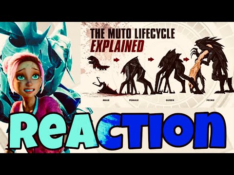 The Muto Cycle Explained | Reaction - YouTube