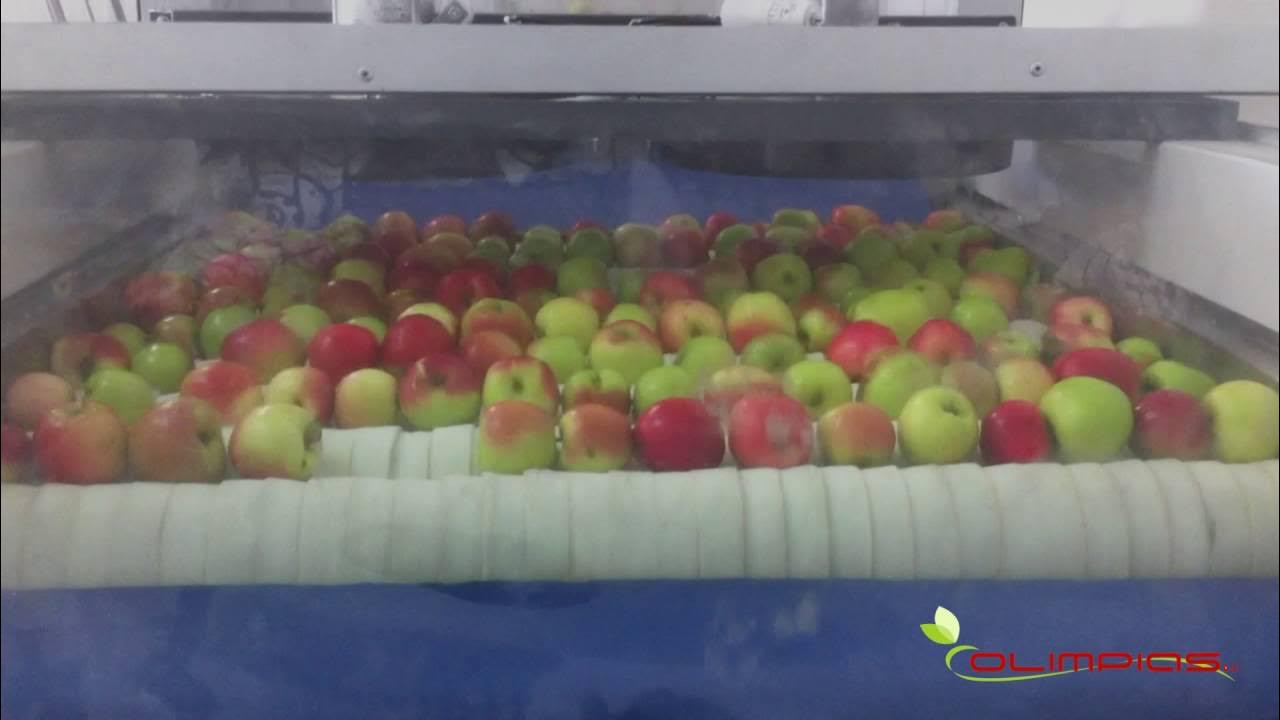 OLIMPIAS S.A. | Processing and grading line for apples. - YouTube