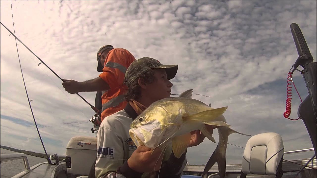 Threadfin salmon Hervey bay - YouTube
