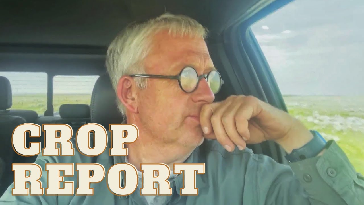 Riverview Ranch Crop Report-June 8-16 - YouTube