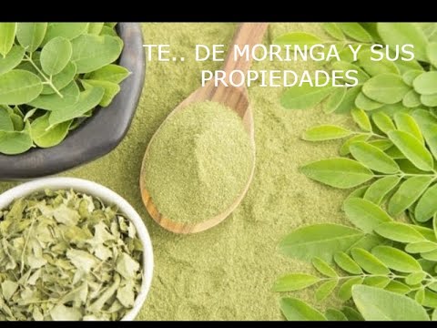 Te de Moringa con muy buenas propiedades - YouTube