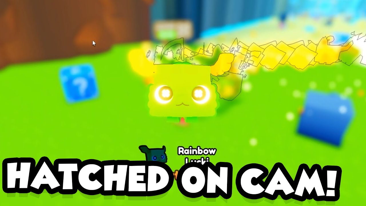 HATCHED THE FIRST RAINBOW LUCKI PET ON CAMERA! (PET SIM X LUCKY ...