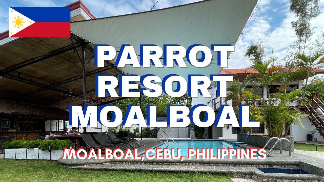 Parrot Resort Moalboal in Cebu, Philippines - YouTube