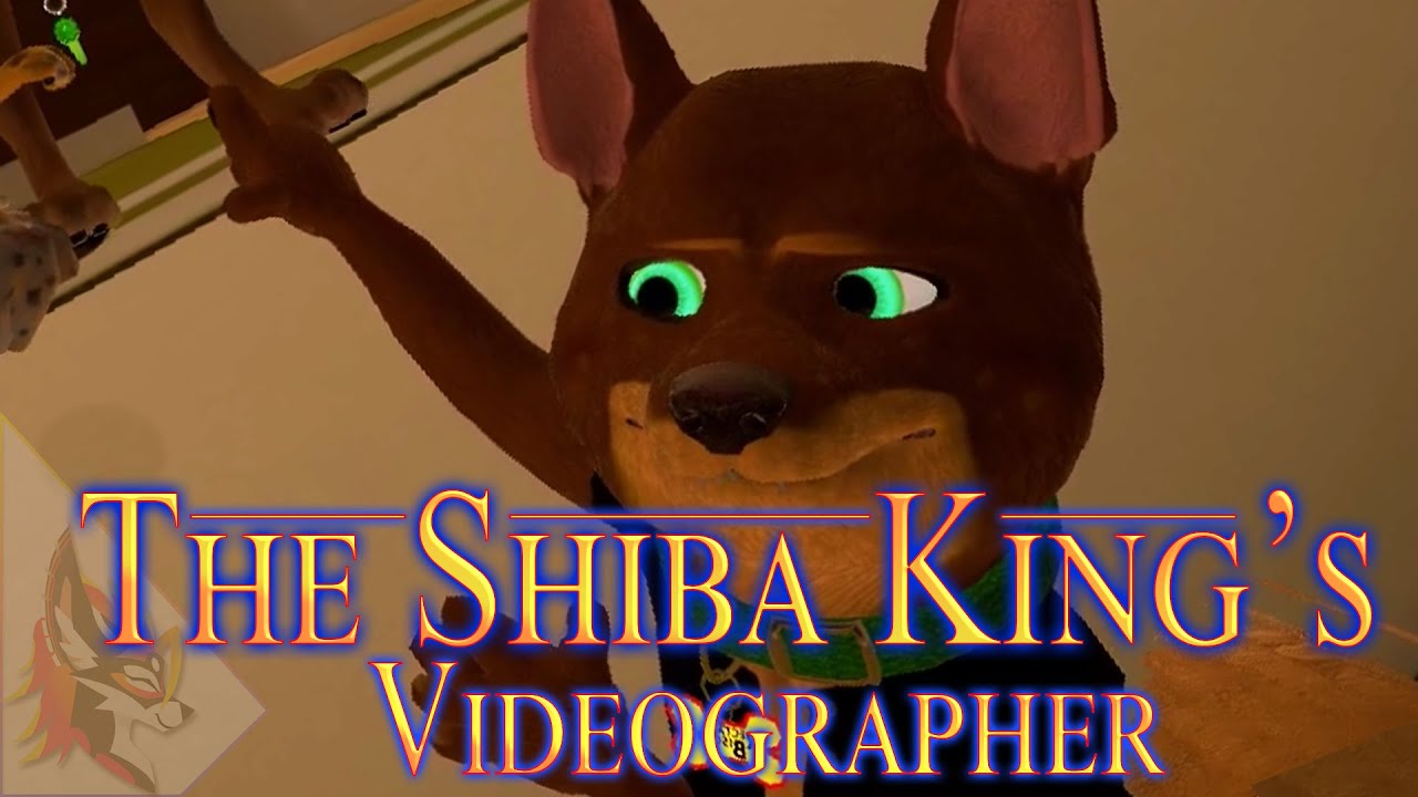 The Shiba King's Videographer - YouTube
