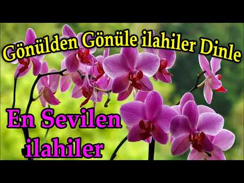 🌺✨Gönülden Gönüle İlahiler Dinle✨🌺En Sevilen İlahiler Dinle🌺✨