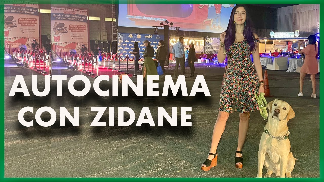 Autocinema PET FRIENDLY / Ale Toledano - YouTube