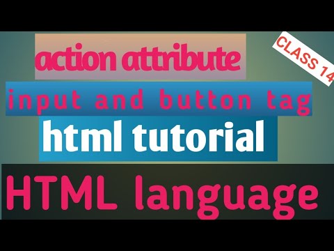action in form tag html|HTML Action Attribute|action attribute|web ...