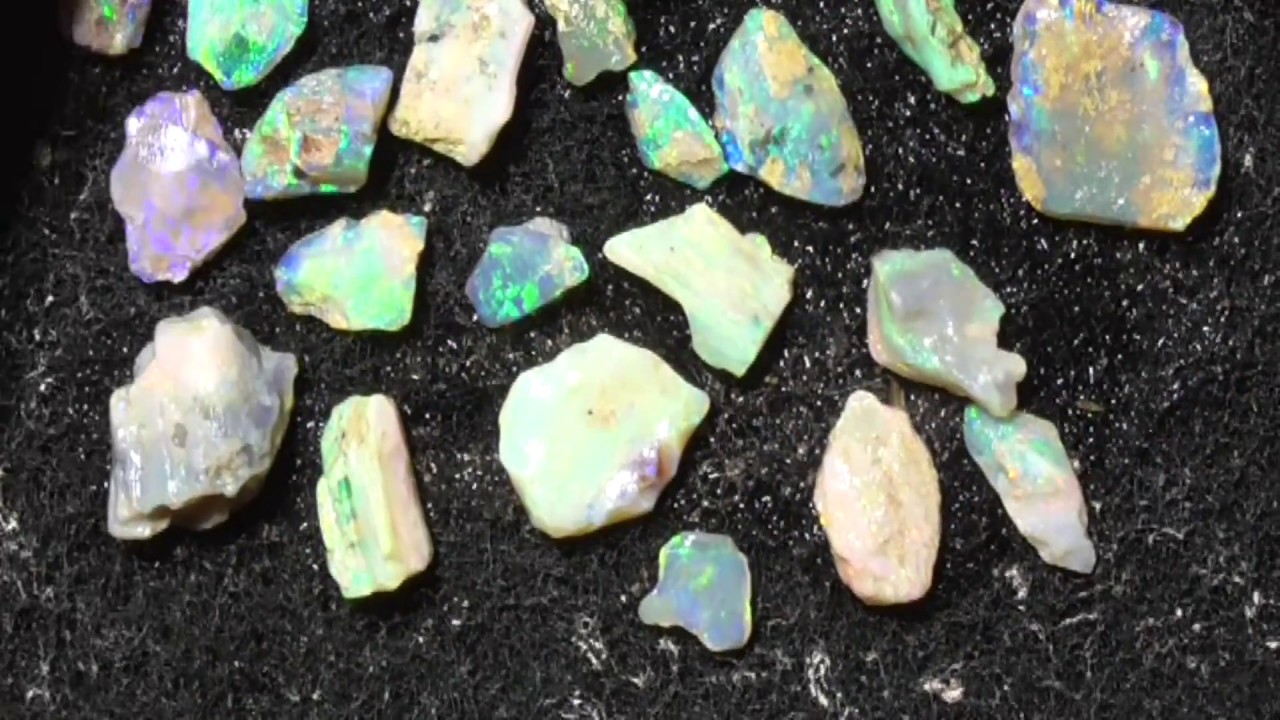 Opalised fossils the best for last from Lightning Ridge Australia RP848 ...
