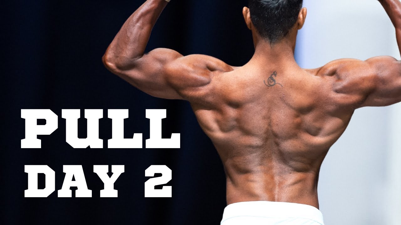 Have You Tried This Effective Push Pull Legs Workout Plan For Beginners ...