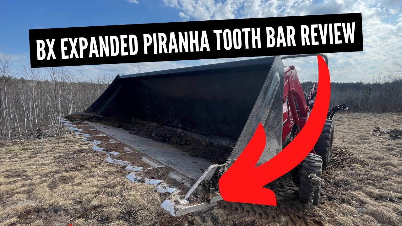 BX Expanded Piranha Tooth Bar Review - YouTube