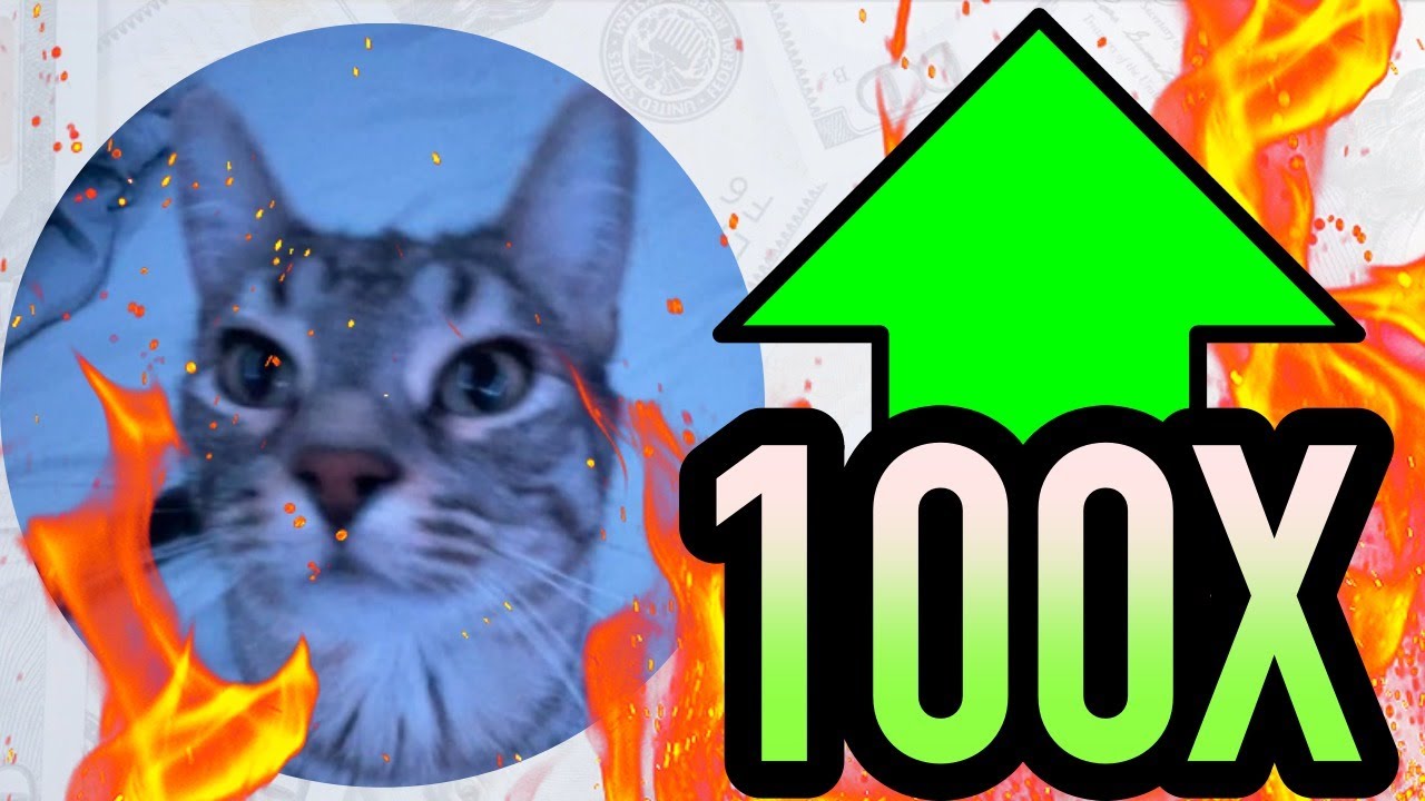 $ZAZU • MOST MEMEABLE CAT | NEXT 100X SOLANA MEME COIN?! (TOKEN REVIEW ...