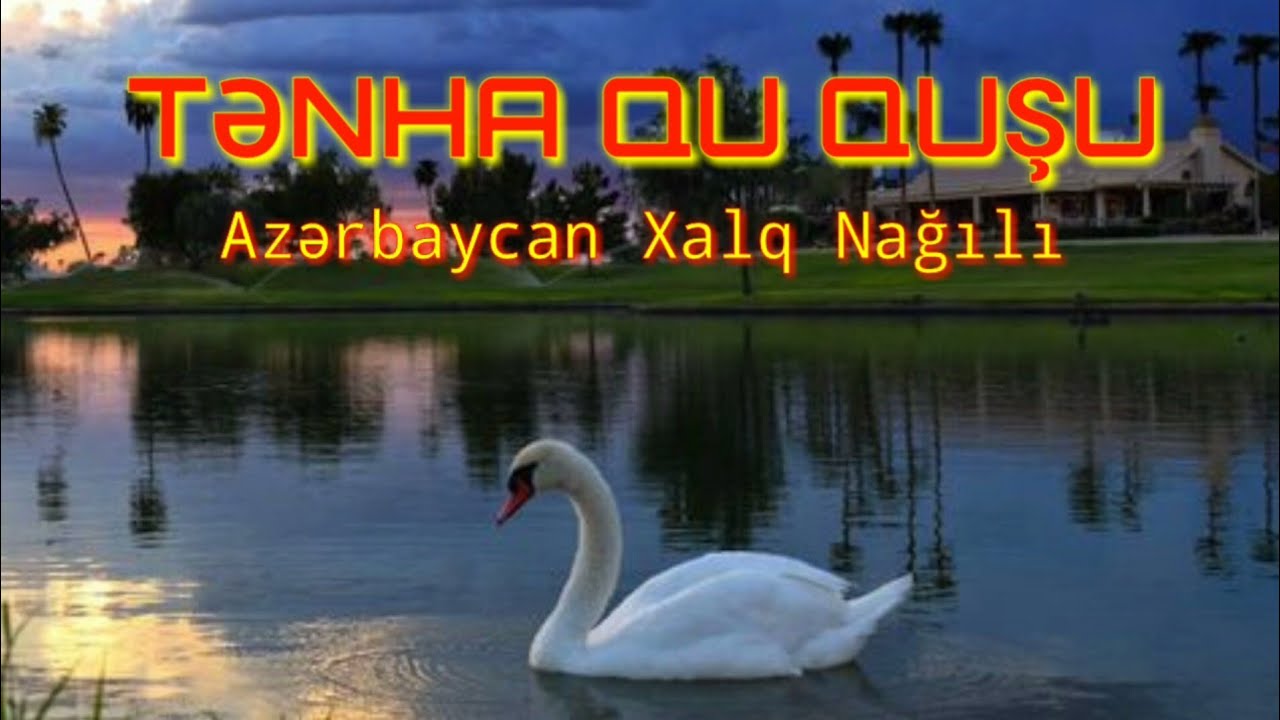"Tənha Qu Quşu" - Azərbaycan Xalq Nağılı (Səsli Nağıllar) - YouTube